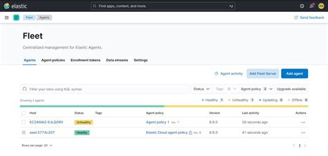 {host platform} windows conditional is not respected in agent