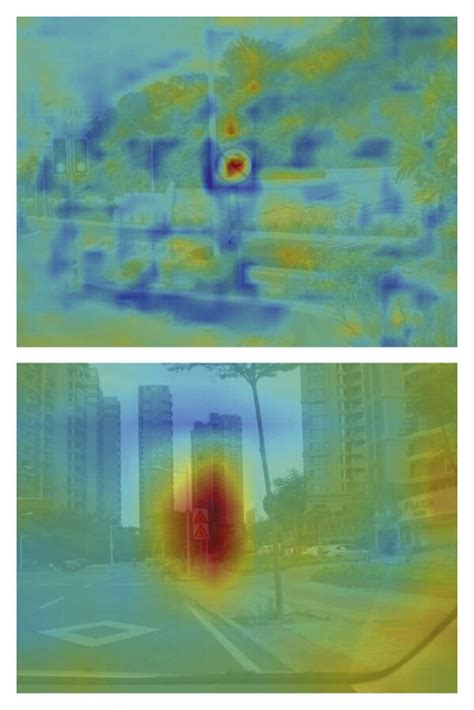 visualization of feature maps a the original image b w o