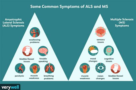 ALS And Multiple Sclerosis Similarities And Differences