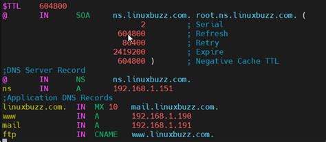 How To Setup Bind DNS Server On Debian