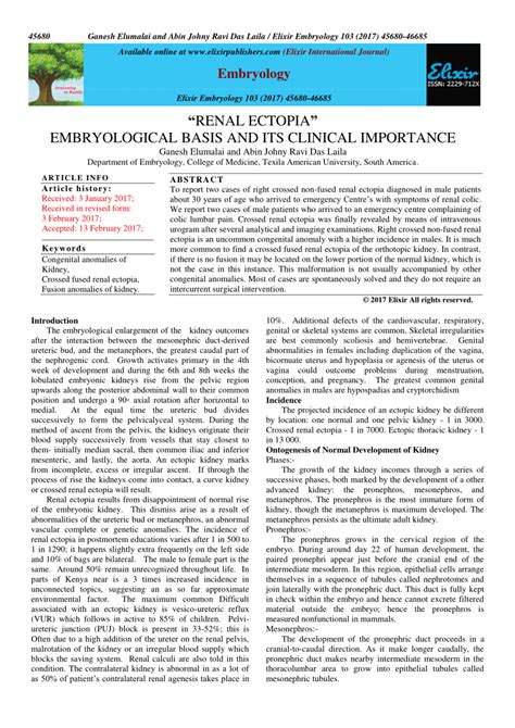 Pdf “renal Ectopia” Embryological Basis And Its Clinical Importance