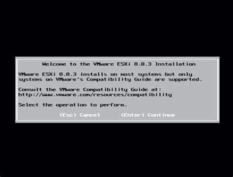 Vmware Gpu Homelab Part 3 Installing Esxi Virtual Graveyard