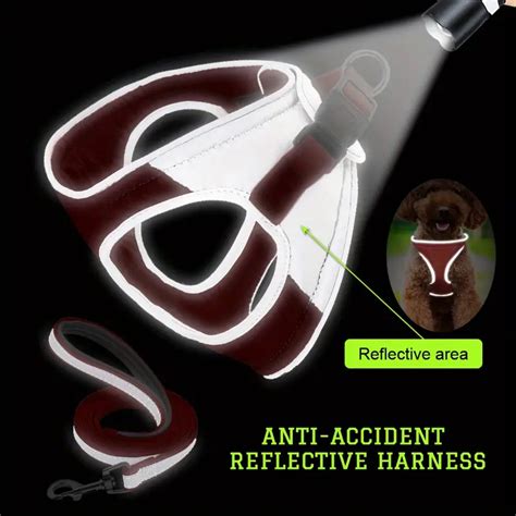 Найлонов за кучета Комплект каишки Светлоотразяващ Temu Bulgaria