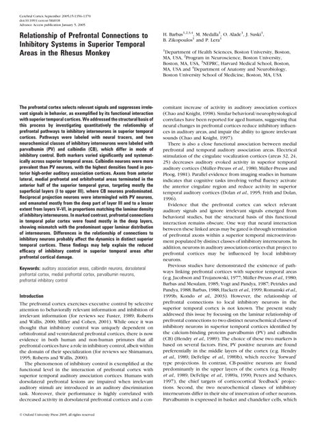 Pdf Relationship Of Prefrontal Connections To Inhibitory Systems In
