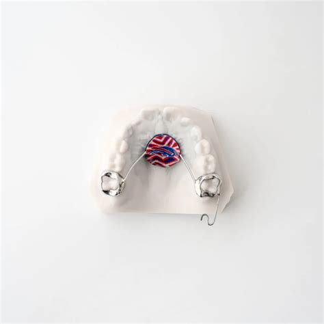 Lower E Arch Arnold Expander Odl Orthodontic Labs