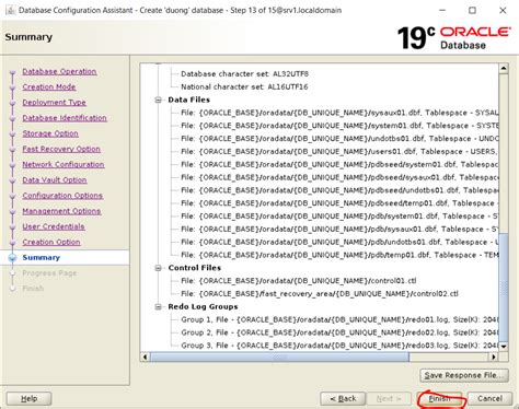Tạo Container Database Mới Bằng Dbca Trong Oracle Database 19c Datalinksvn