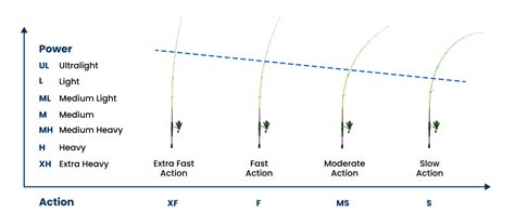 8 Best Types Of Fishing Rods Every Angler Should Know Academy