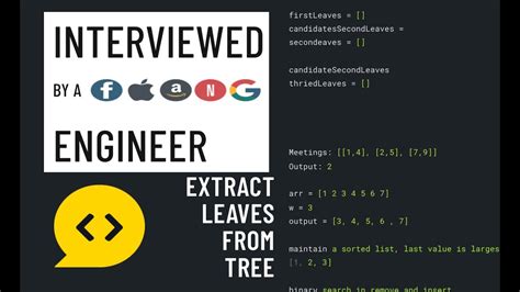 Python Interview With A Faang Engineer Extract Leaves From Tree Youtube