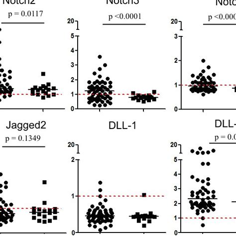 Notch Expression In Acute Myeloid Leukemia Aml Blasts Flow Download Scientific Diagram