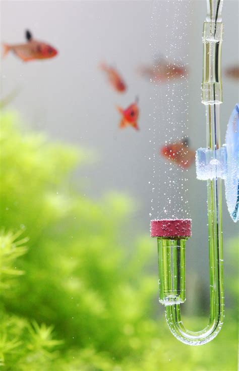 CO2 Diffusers Aquario CO2 Air Diffuser Shatterproof CO2 Acrylic Diffuser Aquascape Supply