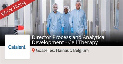 deepak p on linkedin job director process and analytical development