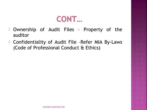 Topic 6 Audit Documentation Ppt