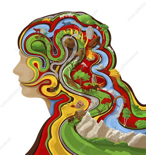 Ancestral Language Conceptual Illustration Stock Image C058 6793