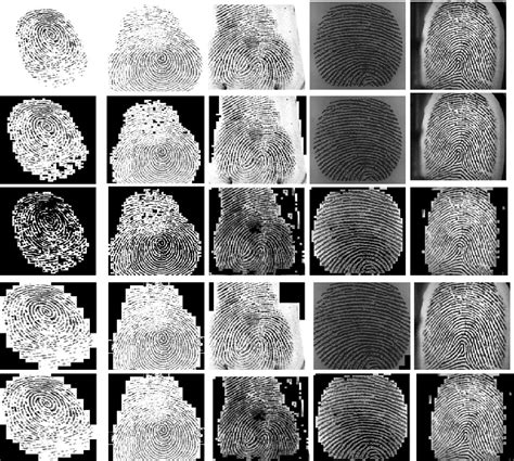 figure 2 from morphological and gradient based fingerprint image