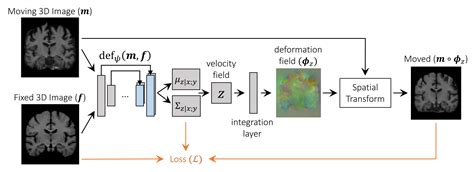 Unsupervised Learning Of Probabilistic Diffeomorphic Registration For Images And Surfaces
