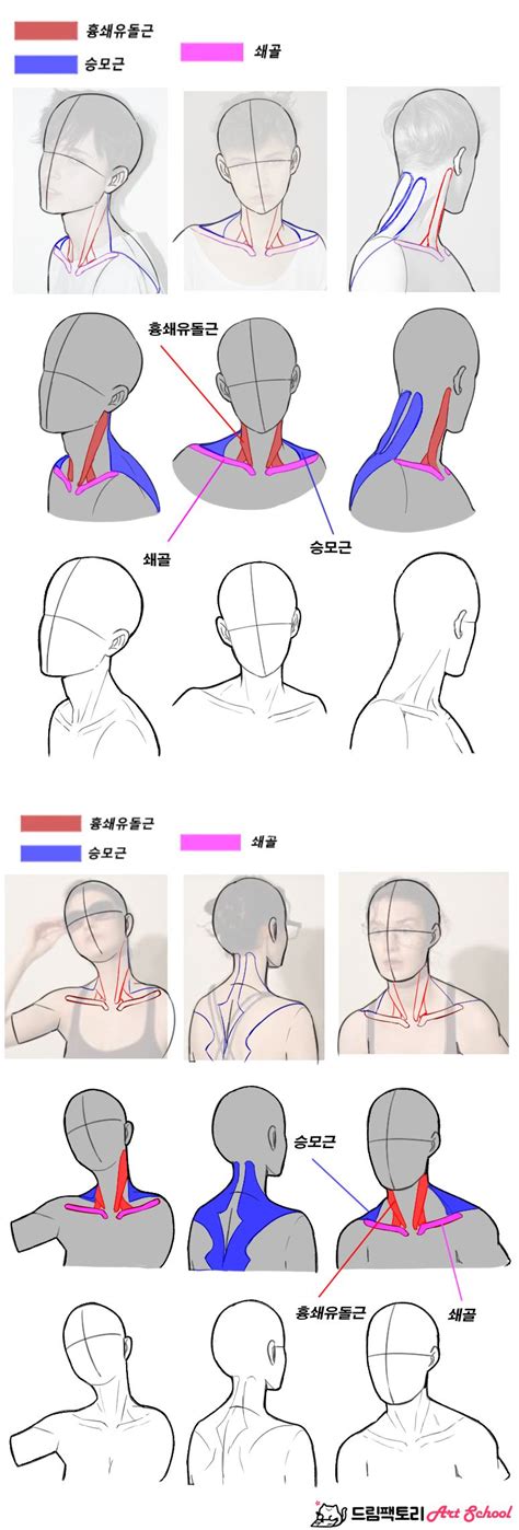 头部에 있는 Kirov님의 핀 드로잉 드로잉 강좌 그리기 튜토리얼