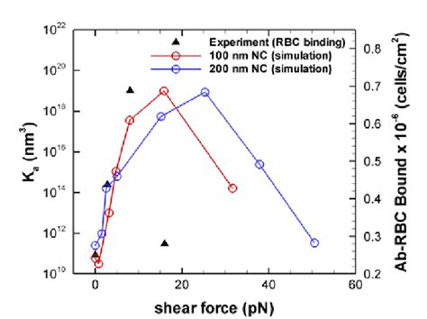 A Comparison Between Simulations And Experiments In Shear Enhance
