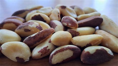 Brazil Nuts Stock Image Image Of Concentrated Buttery 288804337