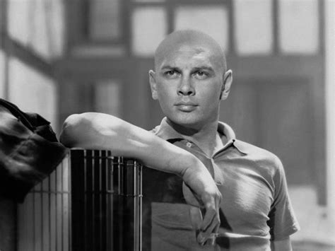 Download Free American Actor Yul Brynner 1956 Portrait Wallpaper