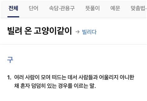 더쿠 작고 하찮아서 더 귀여운 고양이 속담들