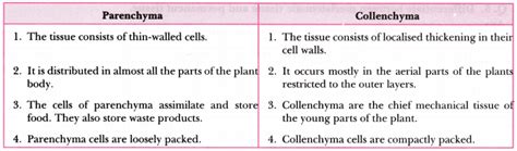 Tissues Class 9 Extra Questions Science Chapter 6 Learn CBSE