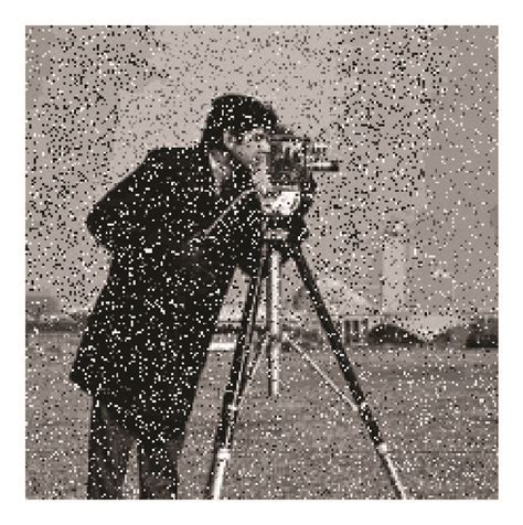 The Watermark Images After Extracting The Watermark Form The Noisy