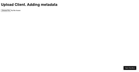 upload client adding metadata forked codesandbox
