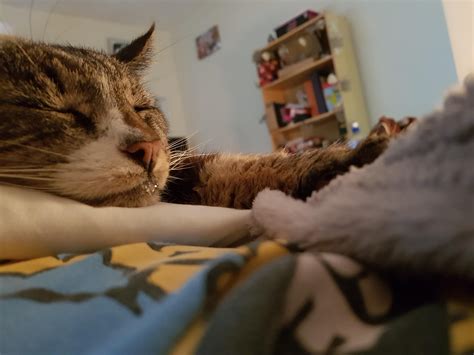 Sleepy Boi Drooling Scrolller