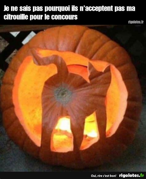 je ne sais pas pourquoi ils blagues et les meilleures images drôles