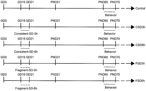 timeline of the experiment refer to experimental protocols for details