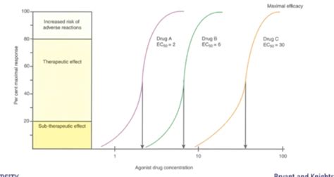 Wk 2 Module 2 Part 4 Potency Flashcards Quizlet
