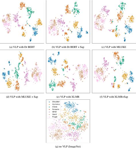 Figure 6 From Self Supervised Vision Langage Alignment Of Deep Learning Representations For Bone