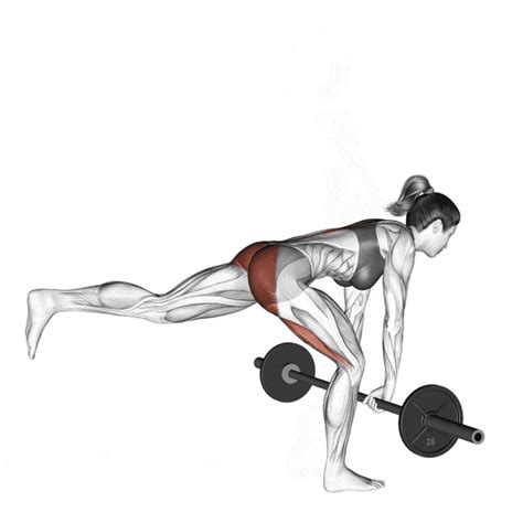 单腿硬拉，一个简单实用的功能性动作 知乎