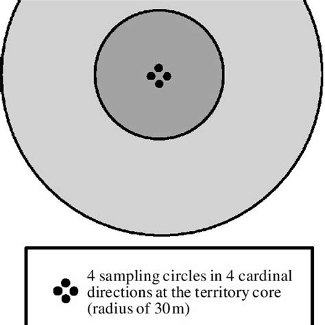 The Three Spatial Scales Around A Territory Centre Download
