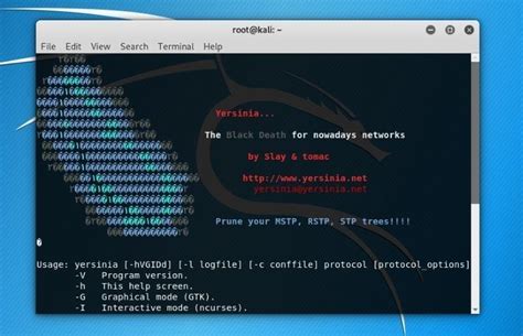 Best Kali Linux Tools For Hacking And Penetration Testing Bakapps Cyber Security