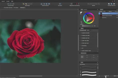 Affinity Designer Tutorial Grundlæggende