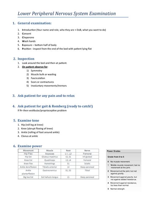 Lower Peripheral Nerve Examination Lower Peripheral Nervous System