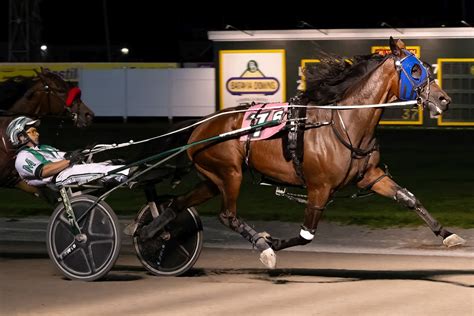 Double Class Back To His Winning Ways Harnesslink