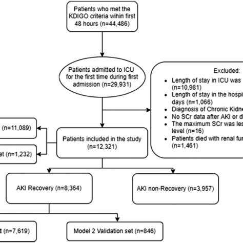 Flowchart Depicting The Number Of Critically Ill Patients Included In