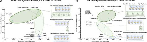 Figure 3 From Evolving Dual Trait Epsp Synthase Variants Using A Synthetic Yeast Selection