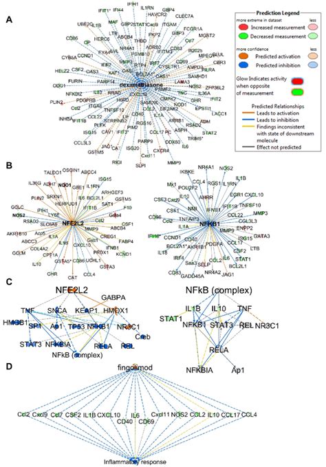 Ipa Analysis Of Rna Sequencing Data At 32 µm A Upstream Regulator