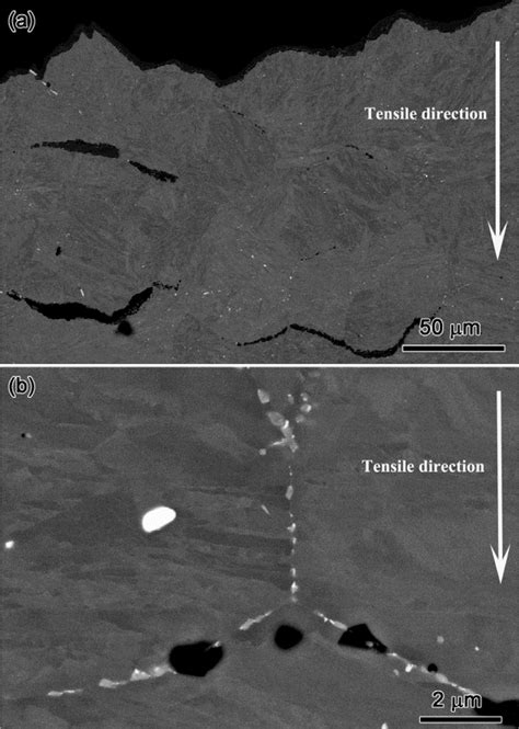 Cavities Present In Tp23 Steel After Tensile Creep Tests At 200 Mpa At