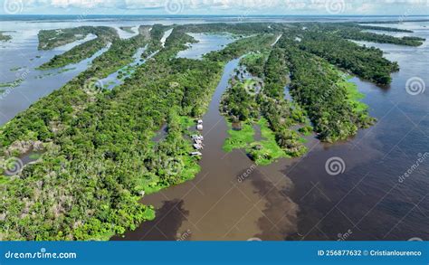 Amazon Rainforest Manaus Amazonas Brazil Amazon Forest Amazon River