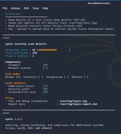 Carrying Out A Security Audit With Lynis Open Source For You