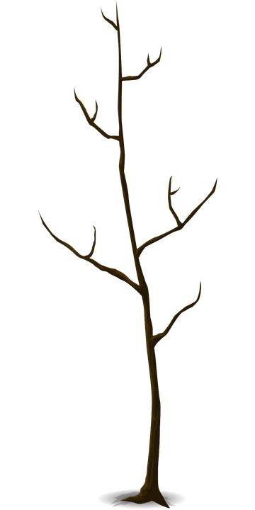 Download Tree Trunk Nature Royalty Free Vector Graphic Pixabay