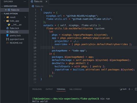 fabián vega alcota on linkedin nixos flake python