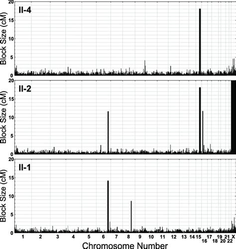 Identity By Descent Mapping Of The Semd Aggrecan Type Locus