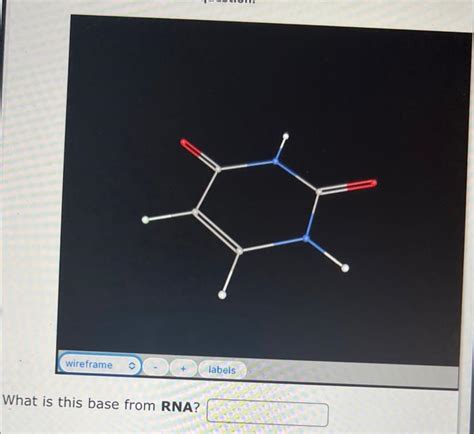 Solved What Is This Base From Rna What Is This Nucleoside