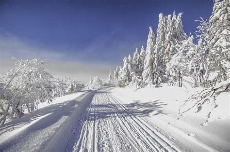 겨울 풍경 눈 속에서 트랙 Pixabay의 무료 사진