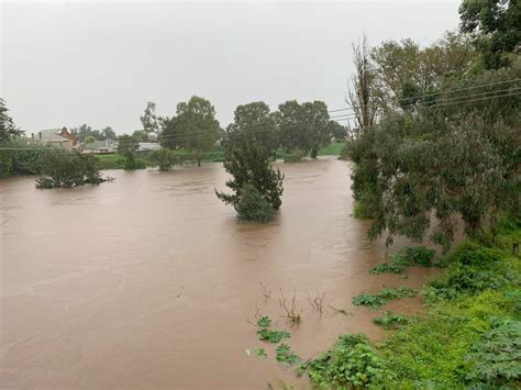 Singleton Flood Update Hunter River Times